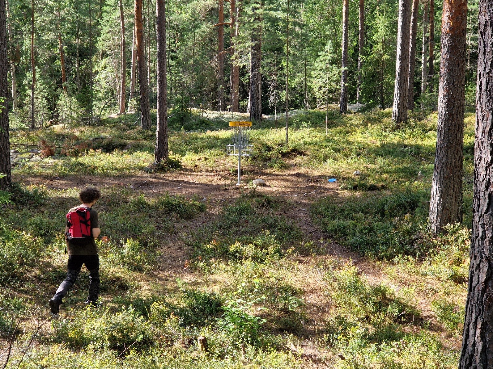 Discgolf i Arvika - Arvika